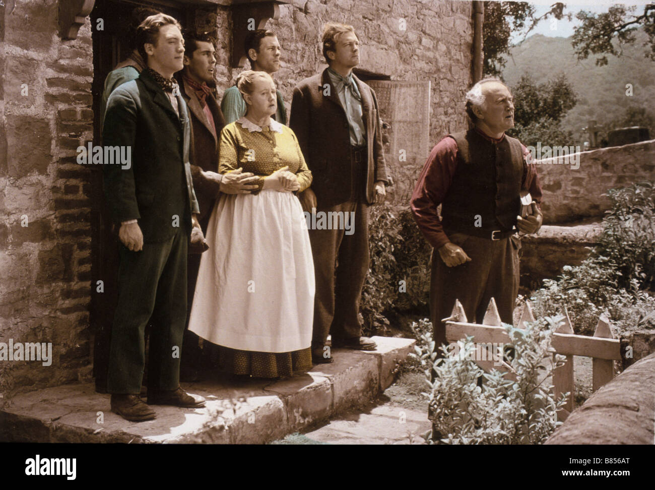 Comment le vert était Ma Vallée Année : 1941 - USA Réalisation : John ...