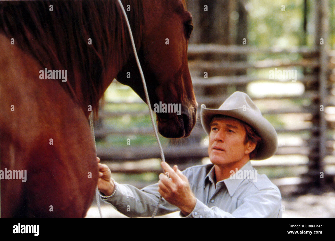The horse whisperer robert redford Banque de photographies et d’images ...