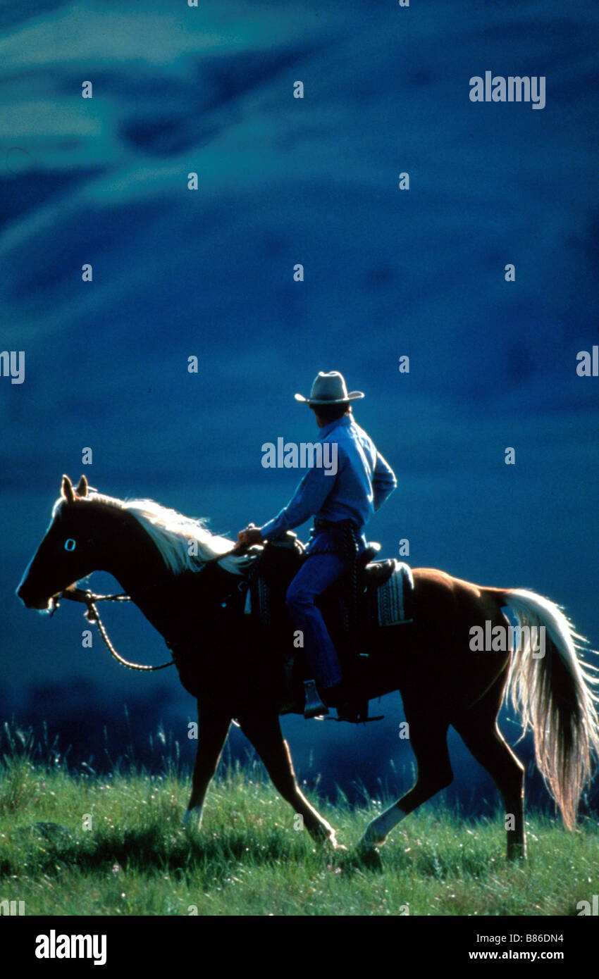 Le Cheval Whisperer Robert Redford Banque d'image et photos - Alamy