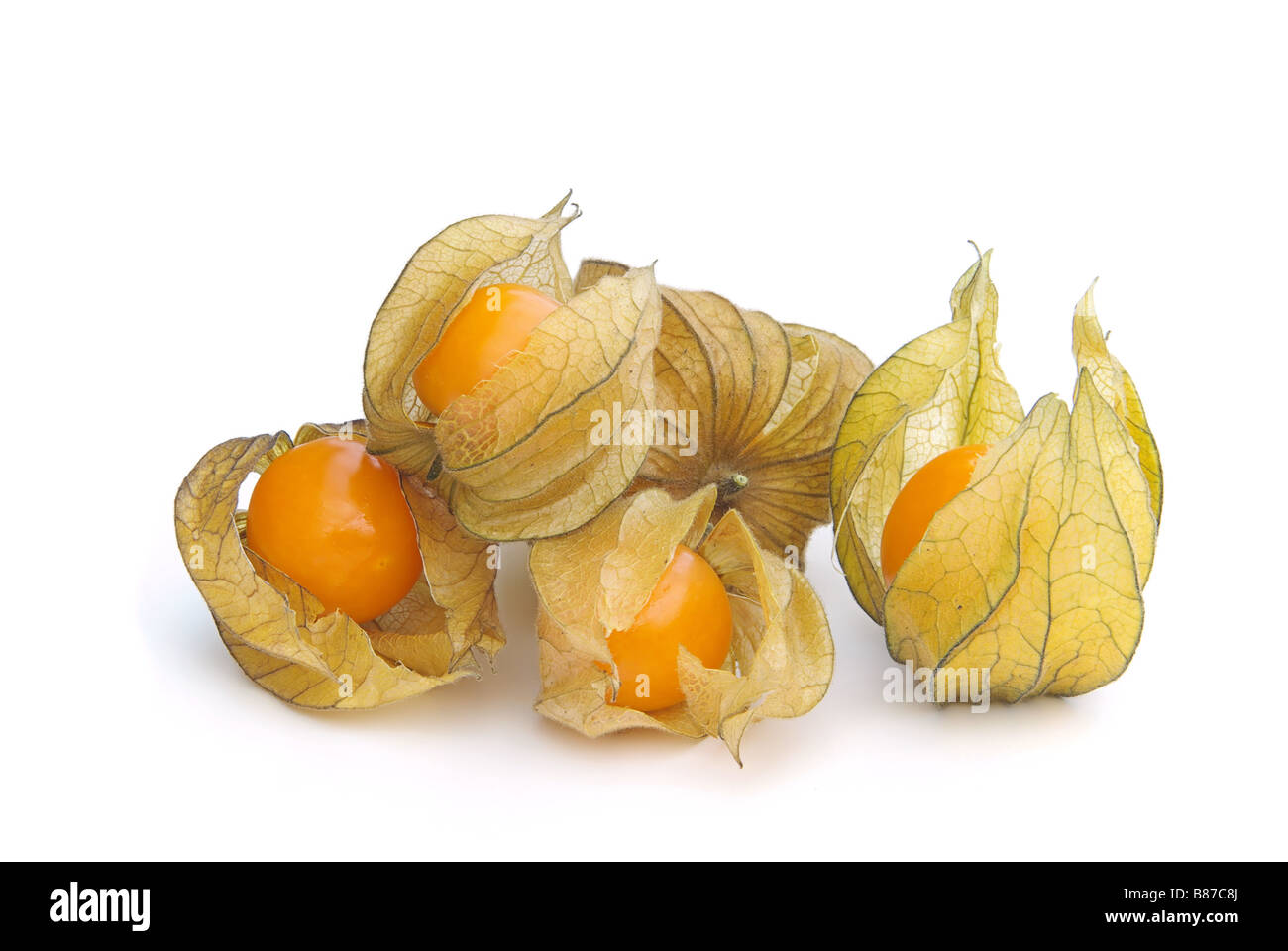 Physalis comestible Banque de photographies et d’images à haute ...