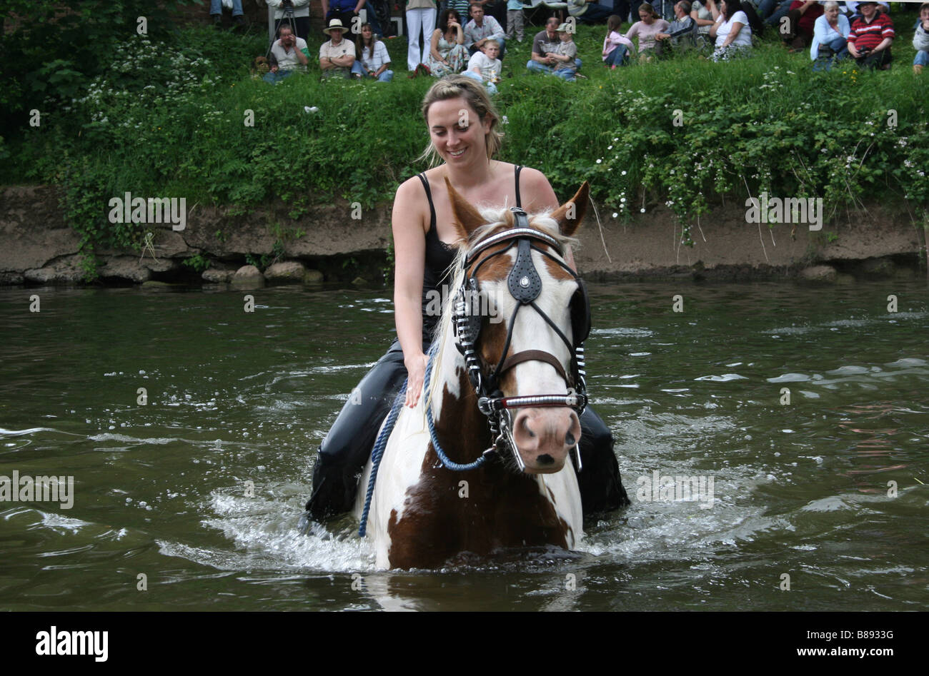 Gypsy horse Banque de photographies et d’images à haute résolution - Alamy