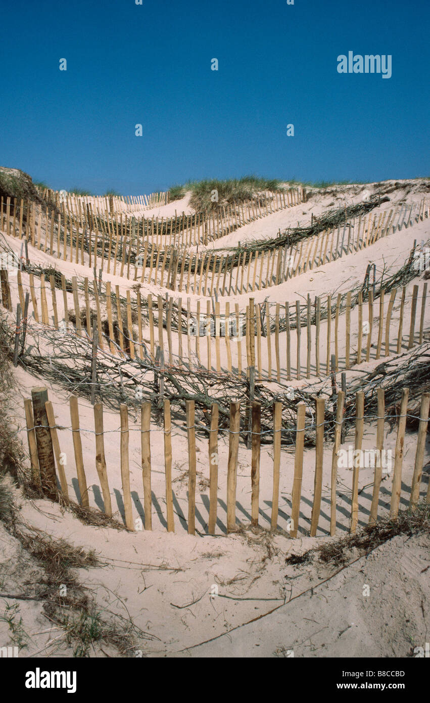 Dune stabilisation Banque de photographies et d’images à haute ...