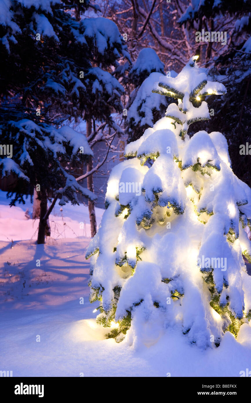 Enfants dans la neige libre de droits Banque de photographies et d ...