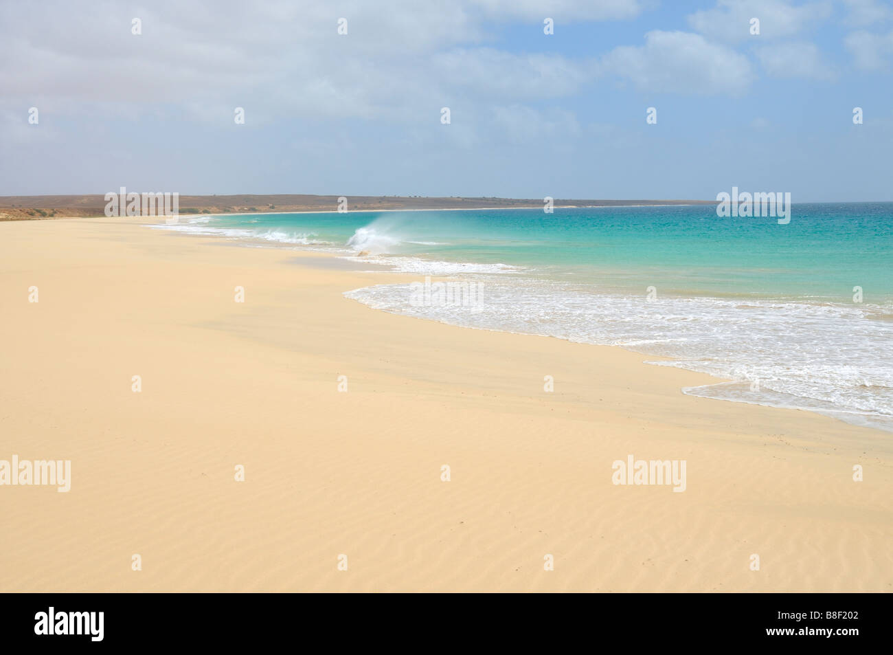 Praia de Santa Monica Beach, île Boa Vista, République du Cap-Vert ...
