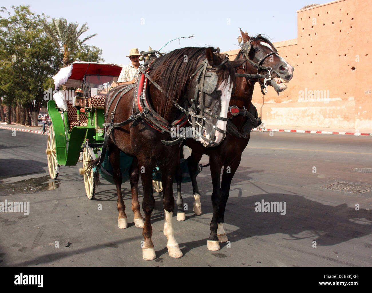 Caleche marrakech Banque de photographies et d’images à haute ...