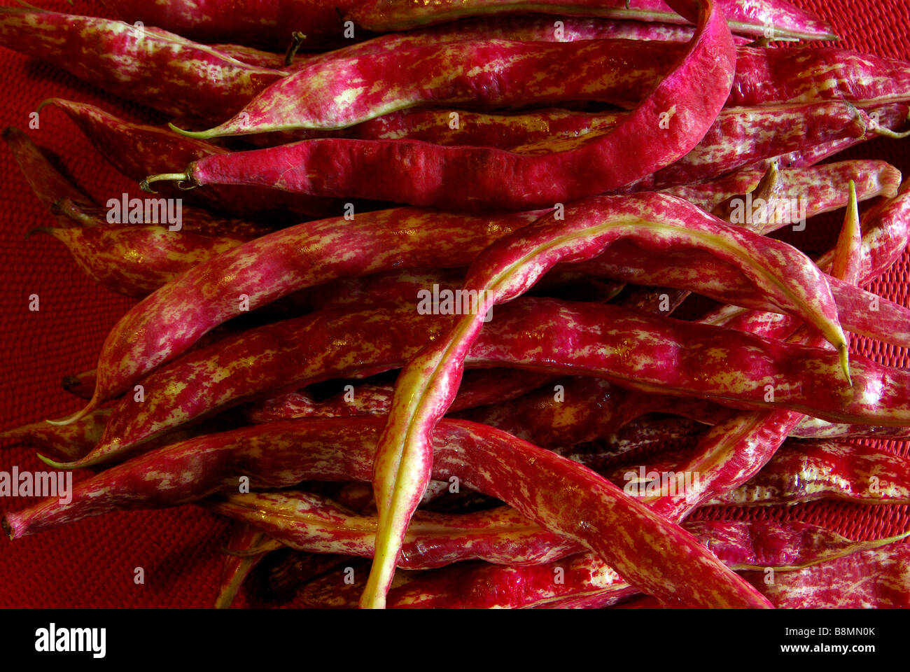 Haricots romains Banque de photographies et d’images à haute résolution ...
