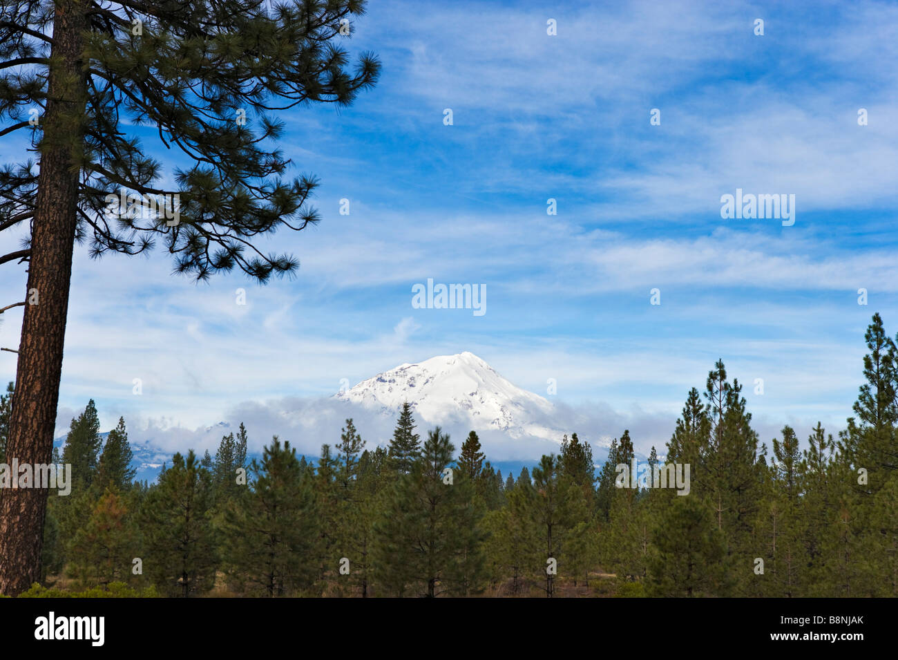 Mount shasta Banque de photographies et d’images à haute résolution - Alamy