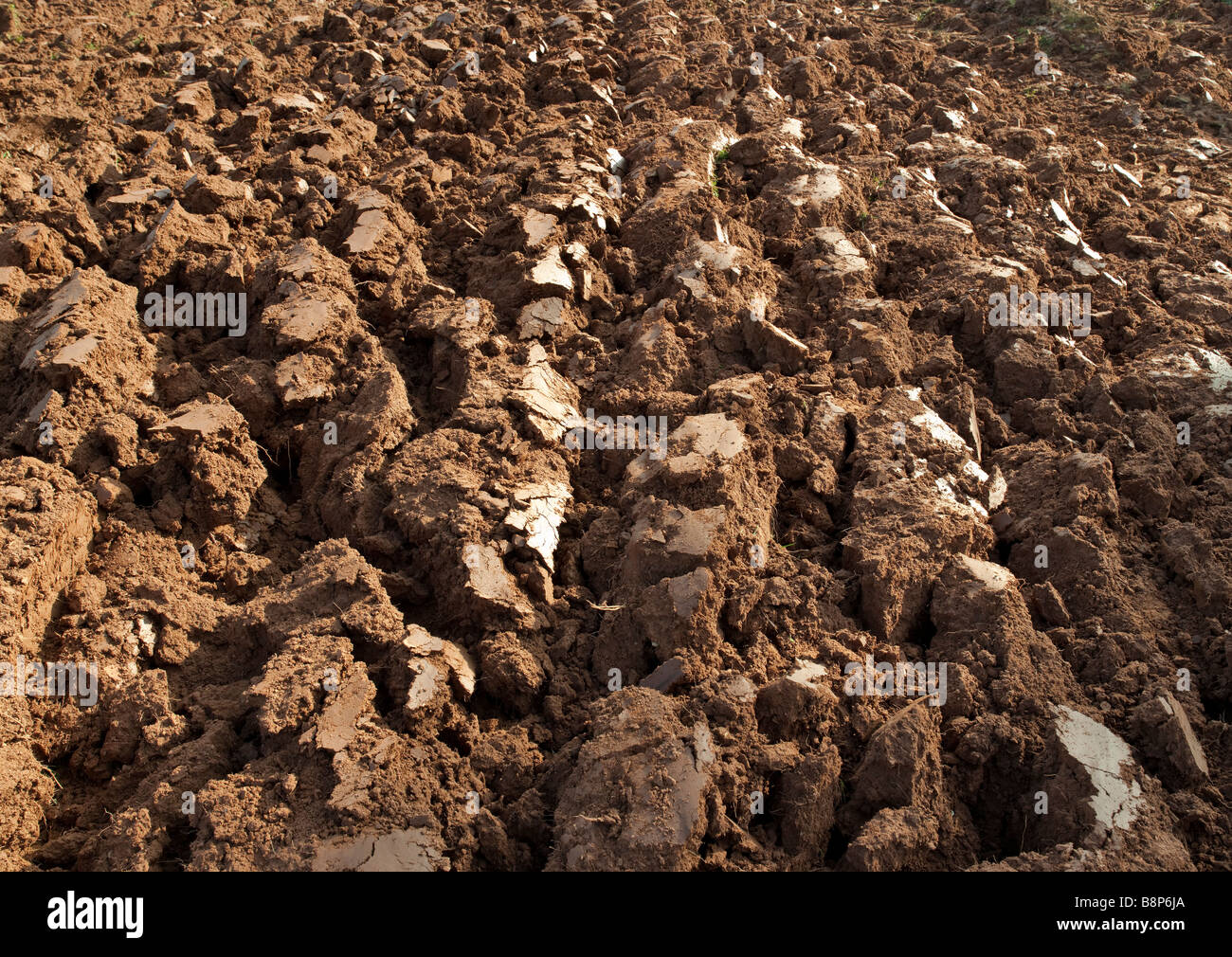 Close up de terre labourée en champ labouré/UK Photo Stock - Alamy