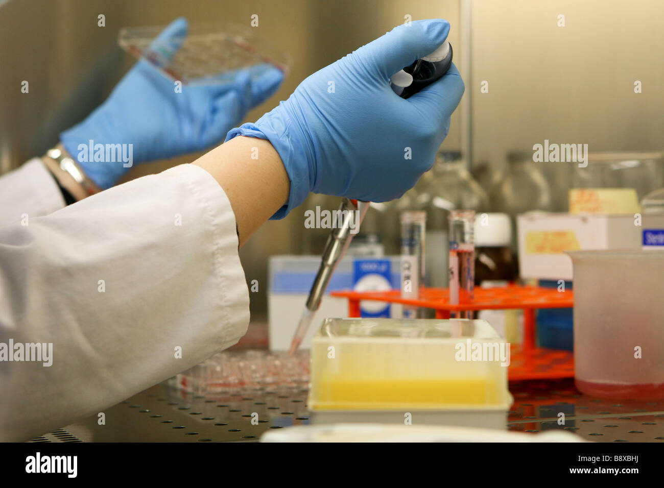 Autopipet sous hotte de chimie Banque de photographies et d’images à ...