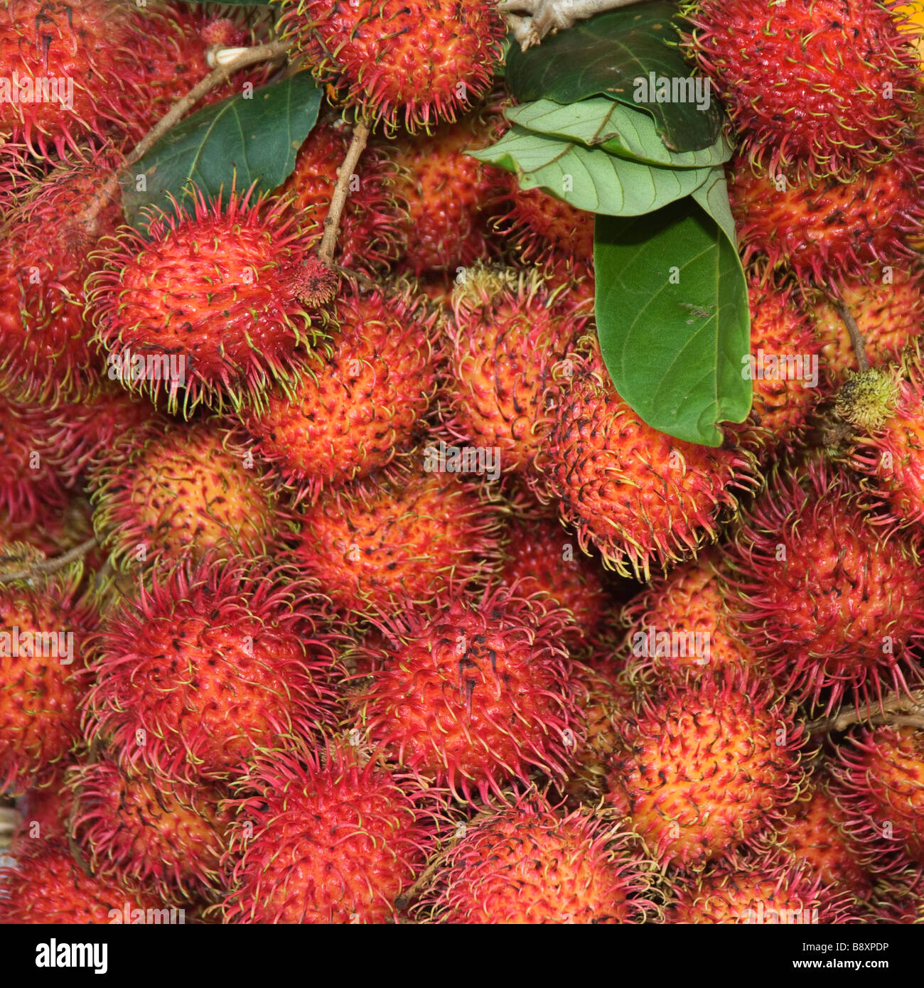 Fruit and vegetable market siem reap Banque de photographies et d ...