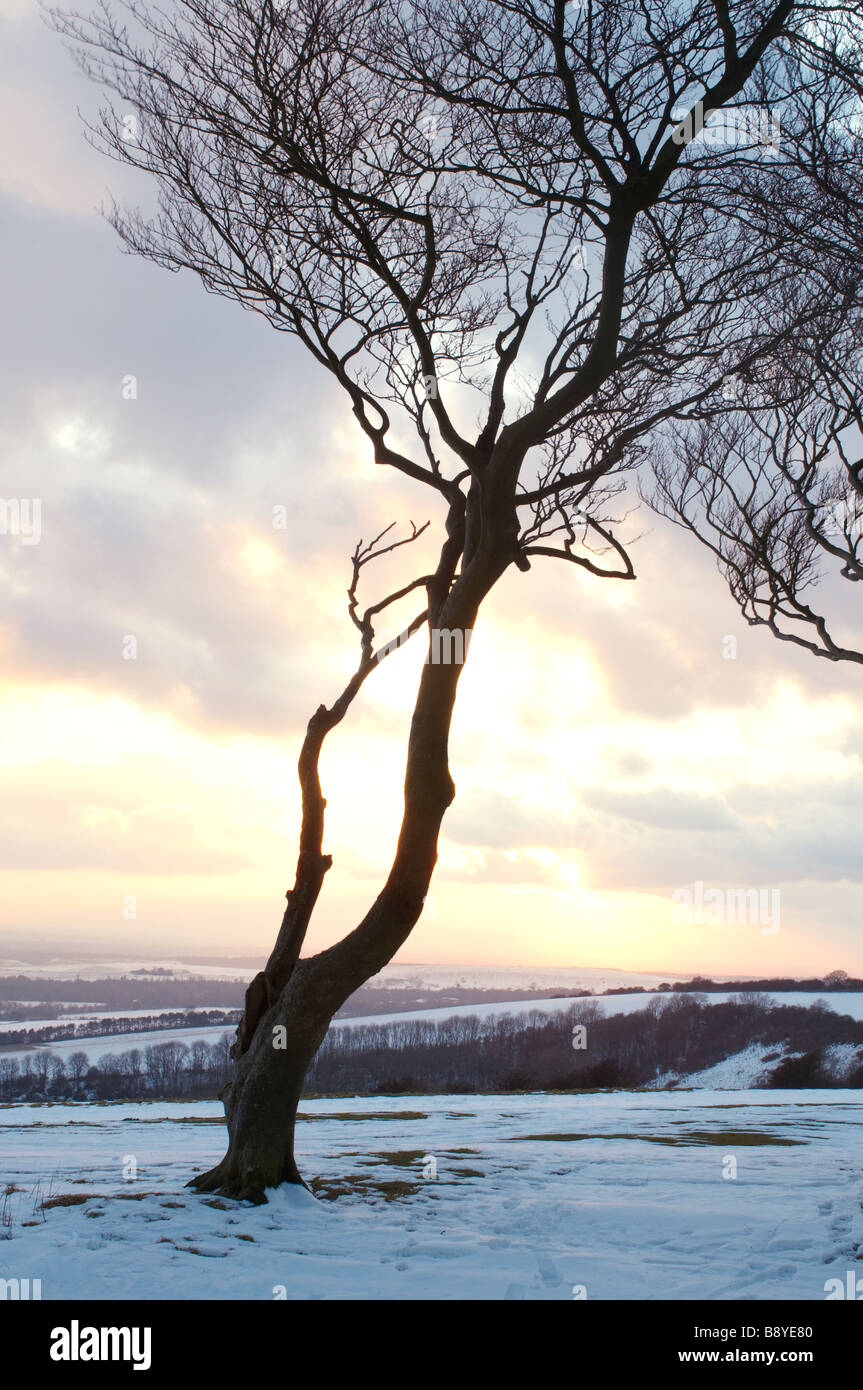 Couchers de soleil neige Banque de photographies et d’images à haute ...