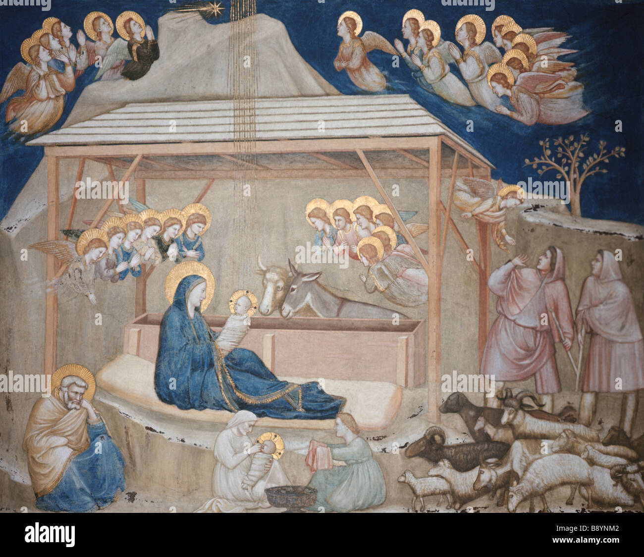 Nativité de Giotto Photo Stock - Alamy
