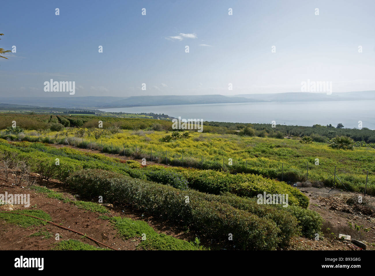 Église de Galilée Israël les Béatitudes sur la côte nord de la mer de ...