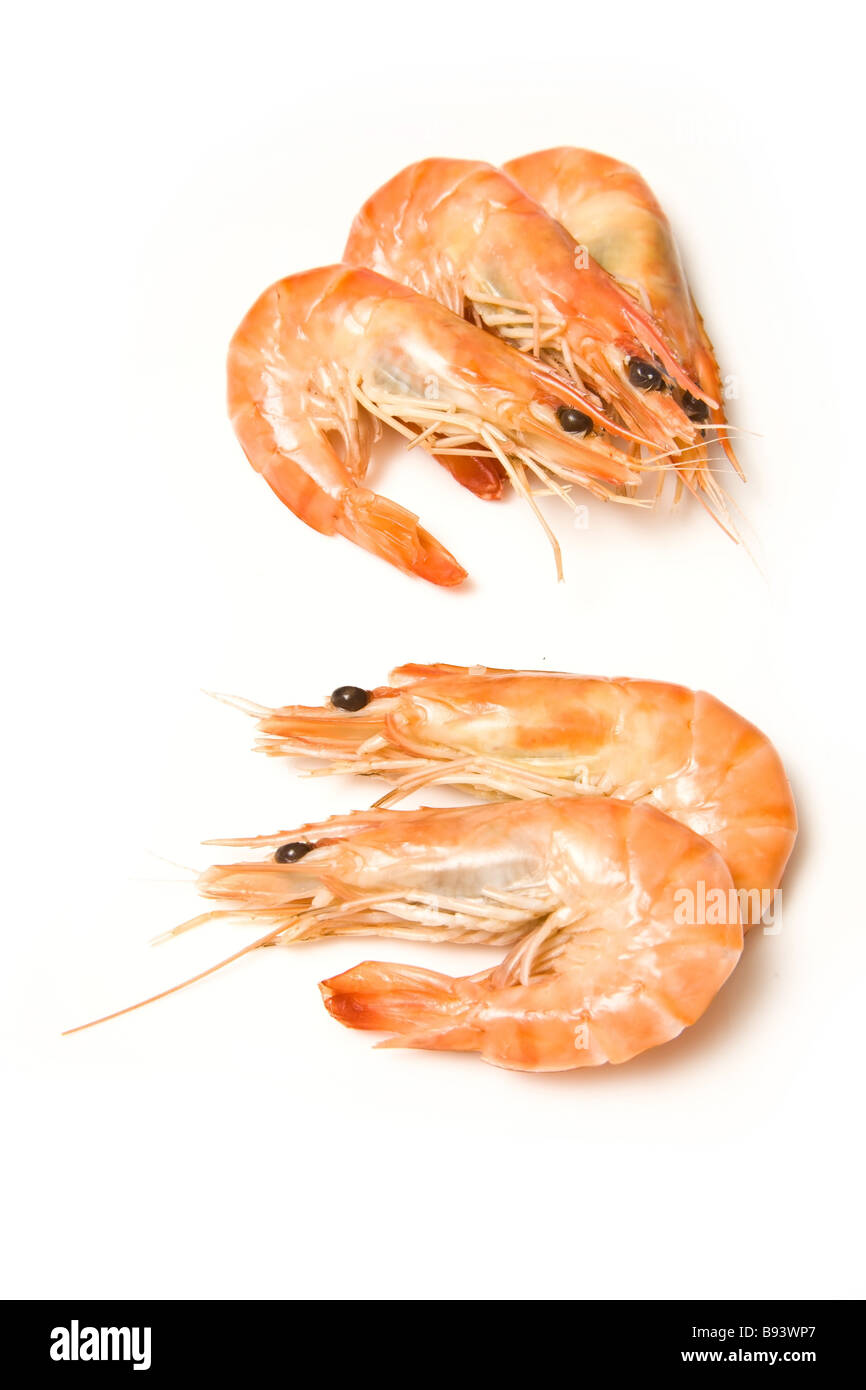 Nature morte aux crevettes Banque d'images détourées - Alamy