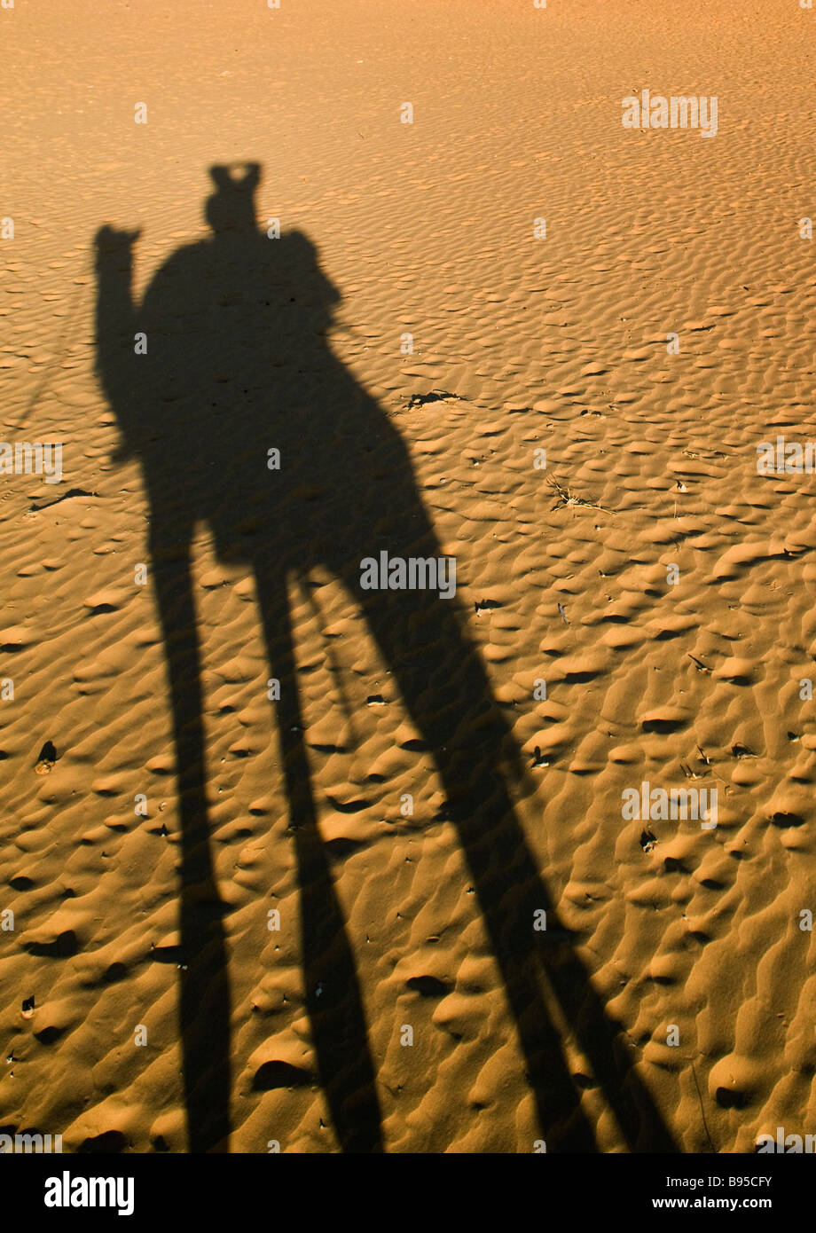 Ombre de chameau Banque de photographies et d’images à haute résolution ...