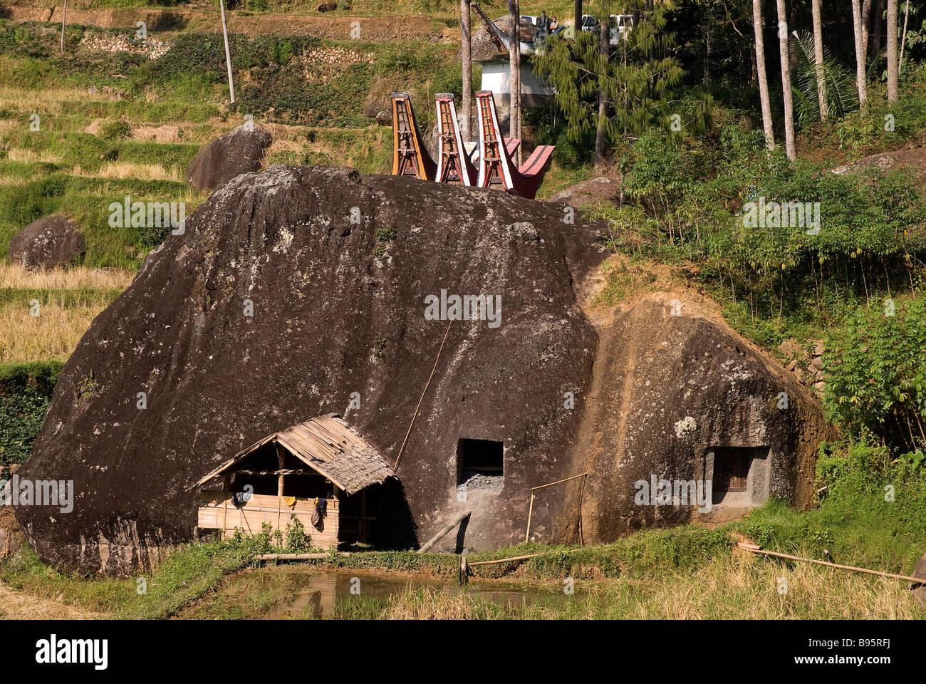 L'Indonésie, Sulawesi (Célèbes), terres Toraja, Tana Toraja ...