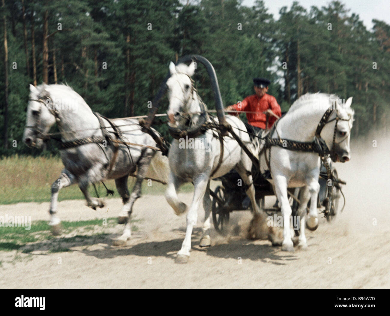 Russian 'troika' Banque d'image et photos - Alamy