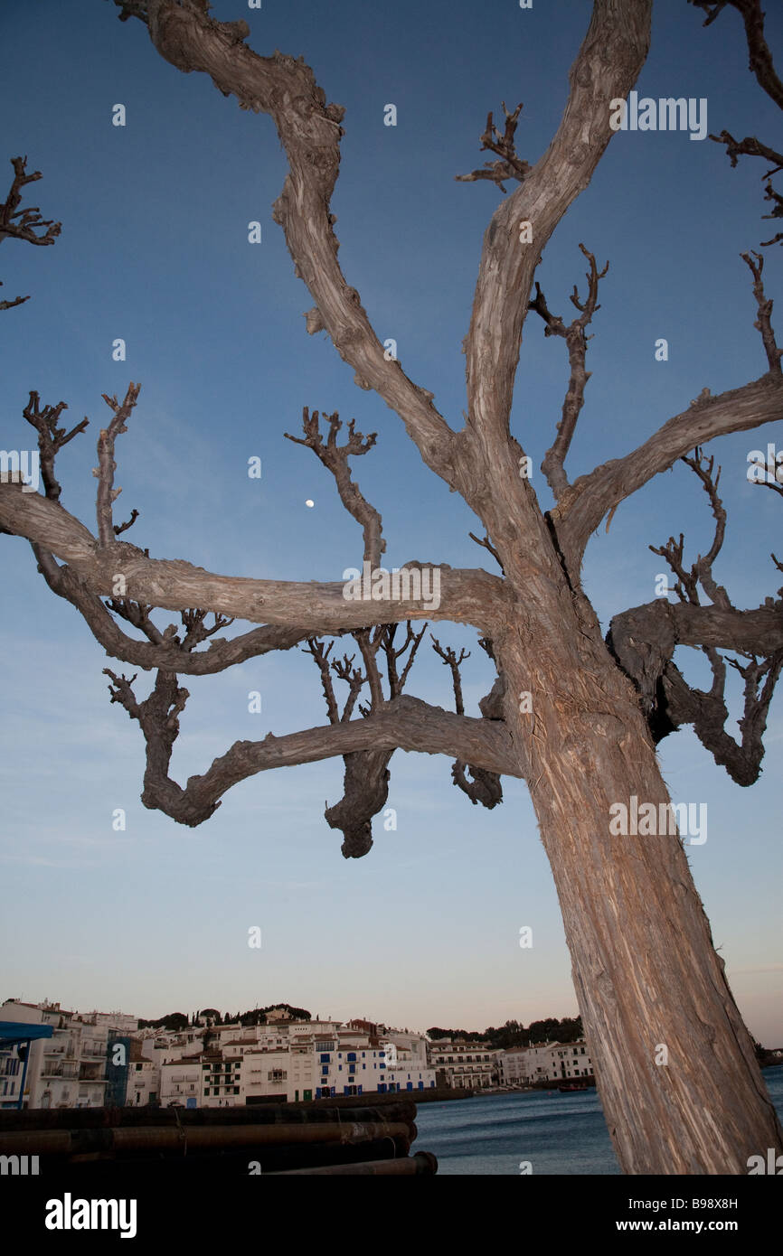 Espagne catalogne Banque de photographies et d’images à haute ...