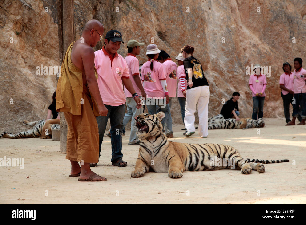 Tiger temple Banque de photographies et d’images à haute résolution - Alamy