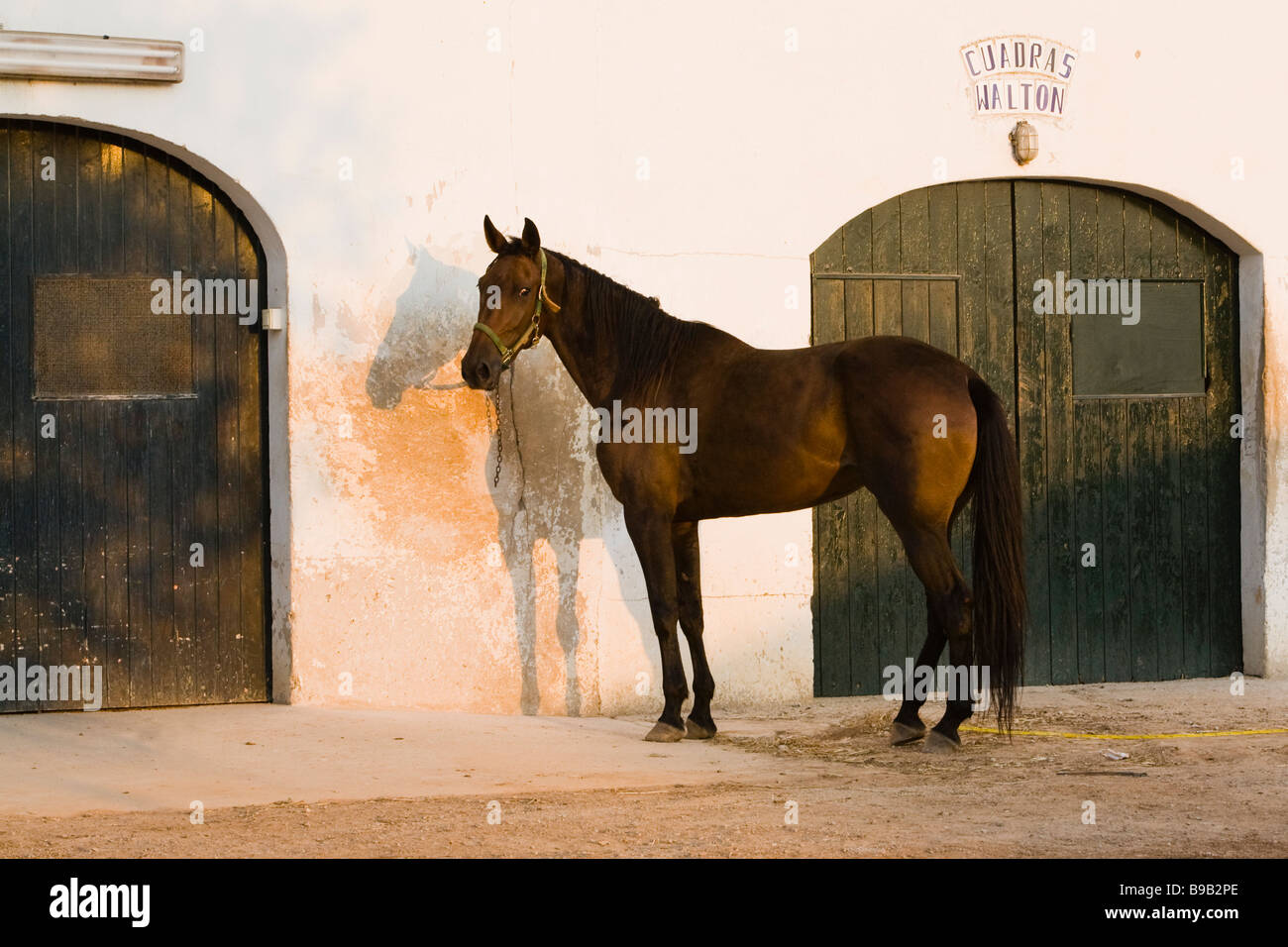 Les étables Banque de photographies et d’images à haute résolution - Alamy