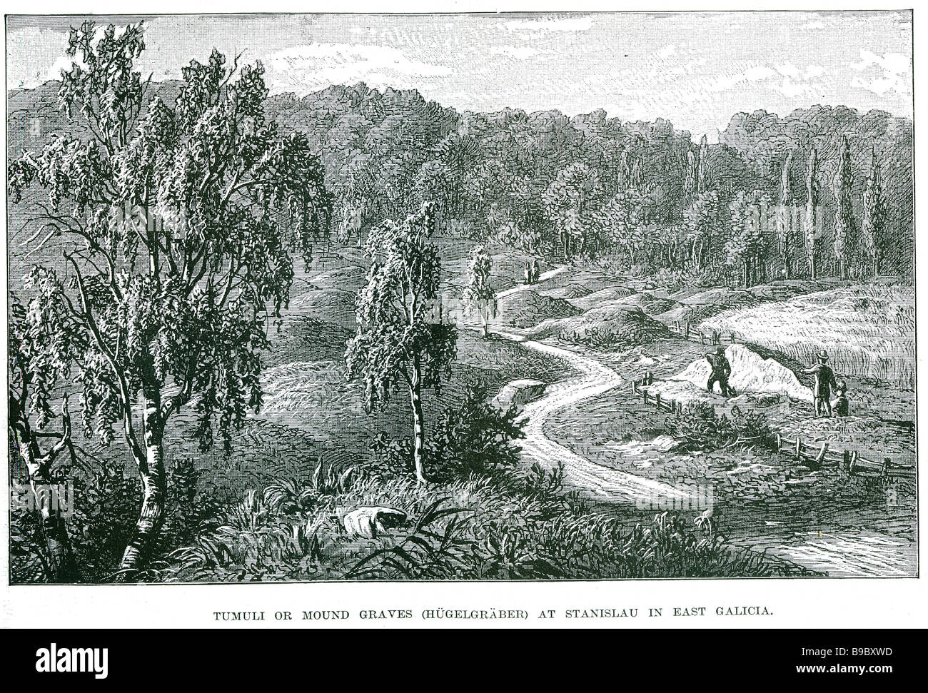 Tumulus drawing Banque de photographies et d’images à haute résolution ...