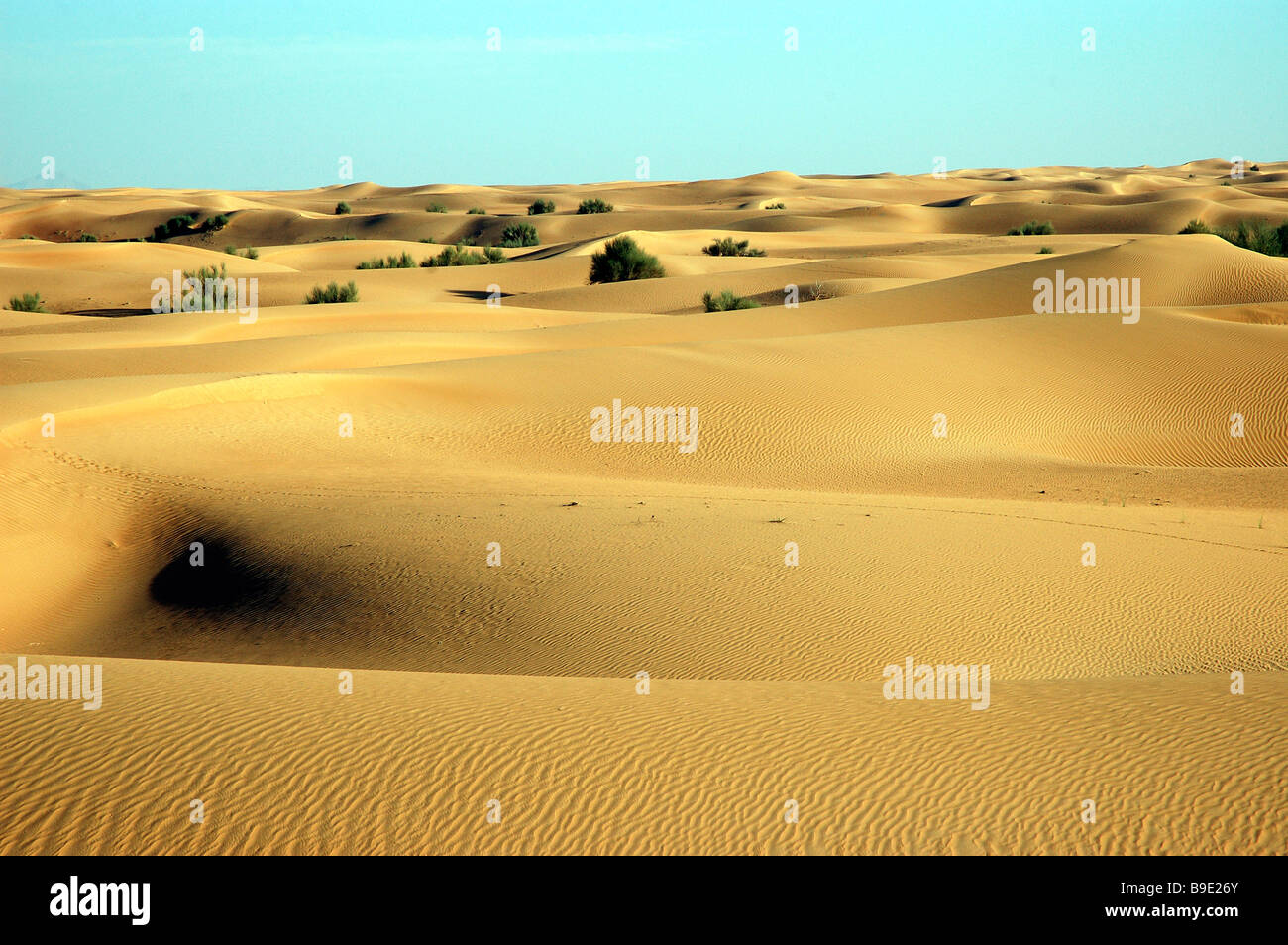 Margham desert Banque de photographies et d’images à haute résolution ...