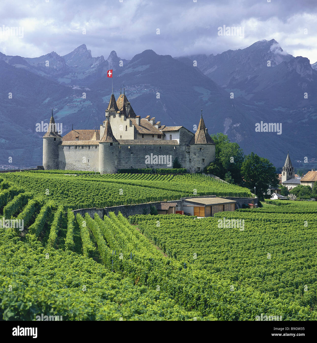 Suisse Vaud Aigle Aigle palais d'été vin vignobles Wallis-région ...