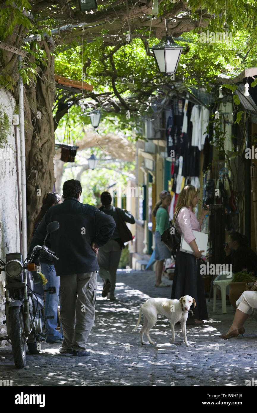 L'île de Lesbos Grèce Mithymna alley plantes grimpantes envahis par les ...