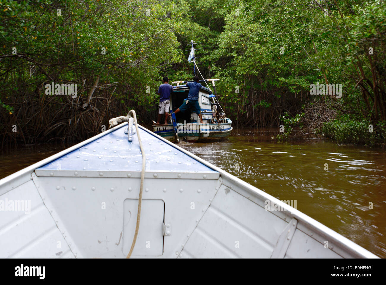 Mangroves brazil Banque de photographies et d’images à haute résolution ...