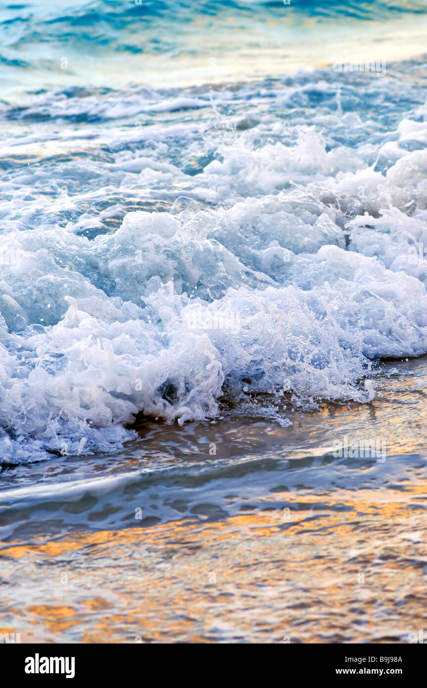 Vagues rouleaux se brisant sur le rivage de la plage Banque de ...