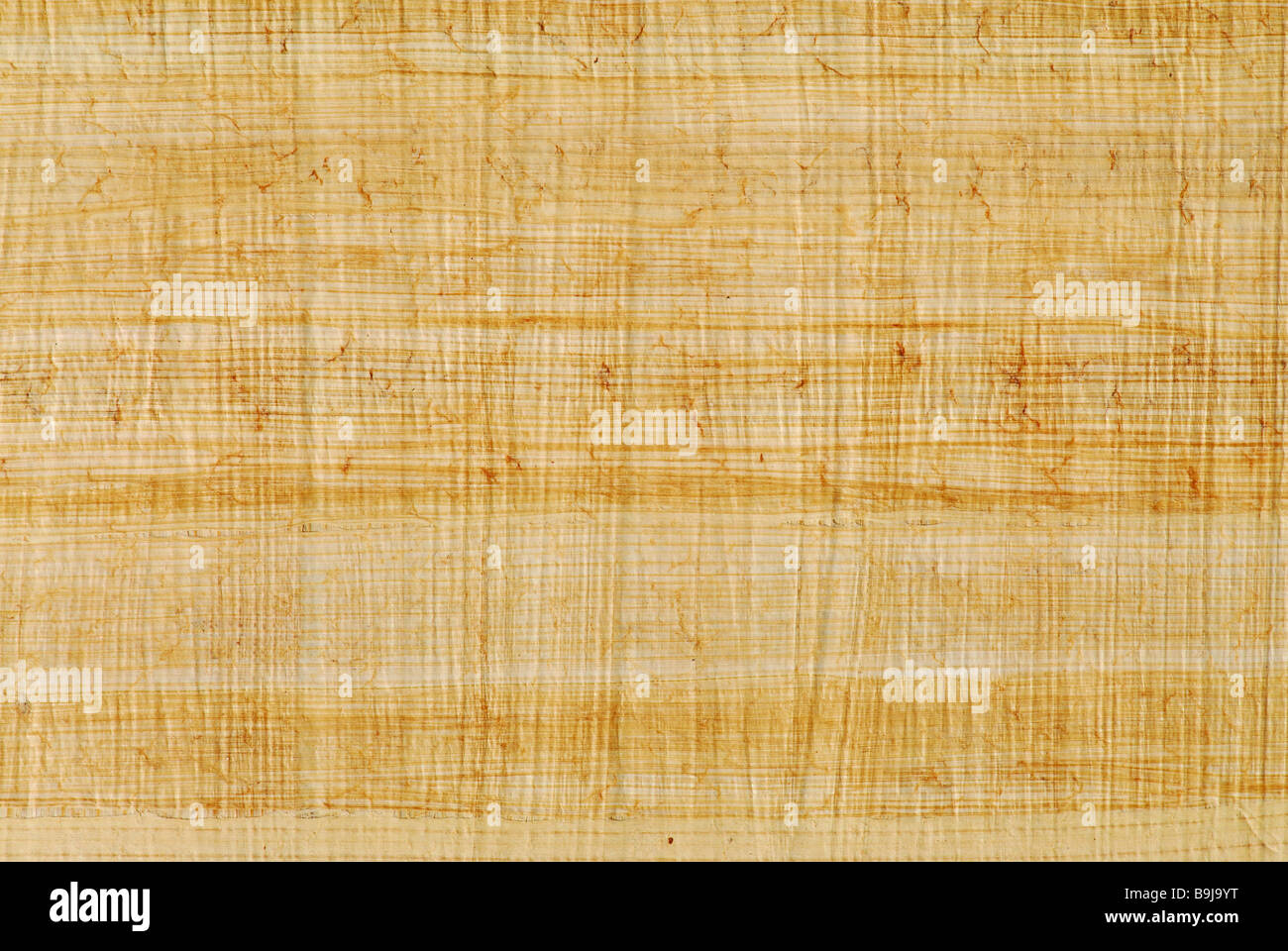 Fond papyrus naturelles Photo Stock - Alamy