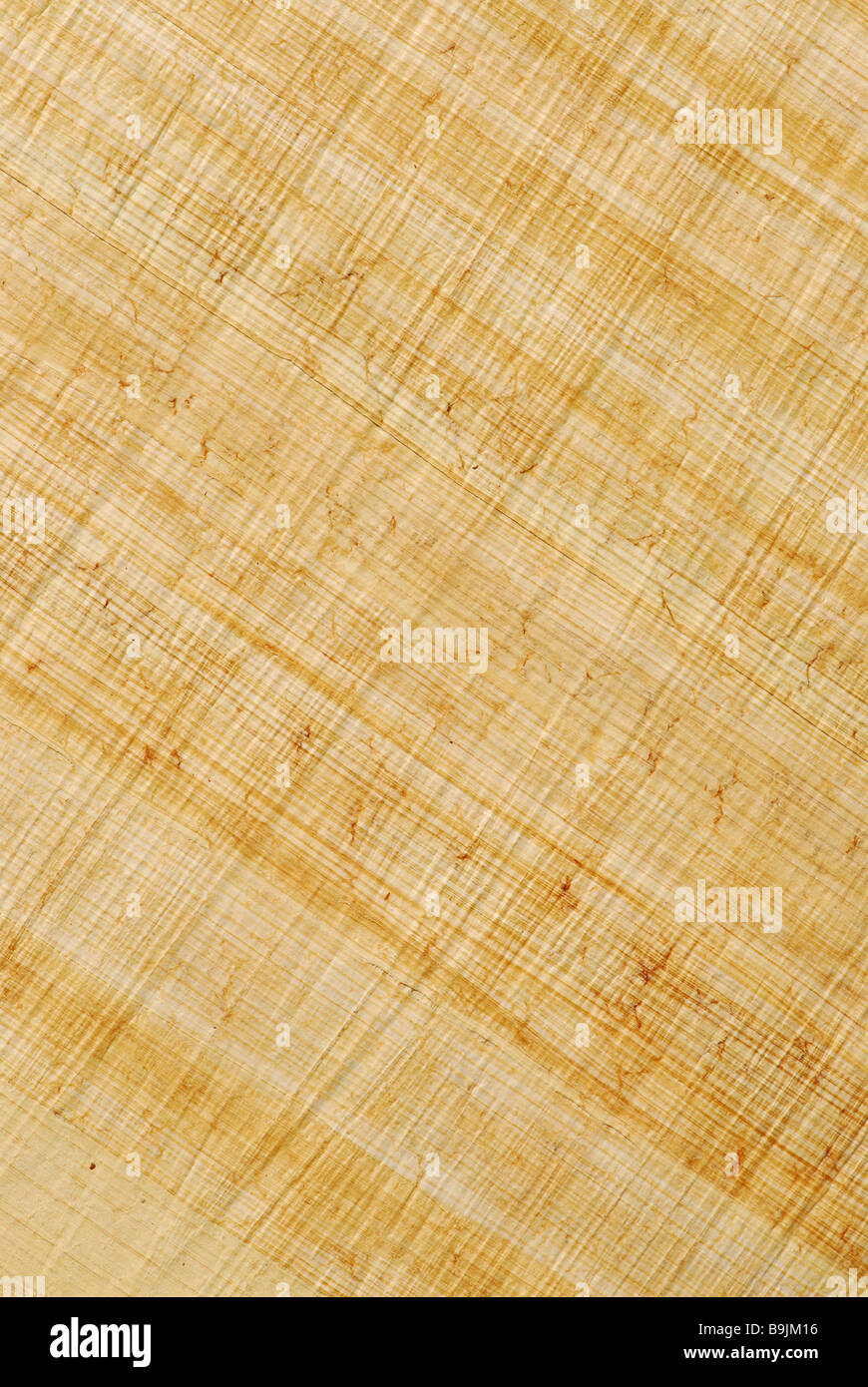 Echter papyrus Banque de photographies et d’images à haute résolution ...