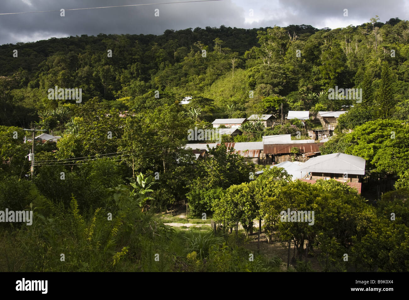 Communauté Maya Lacandon de Naha, Chiapas, Mexique Photo Stock - Alamy