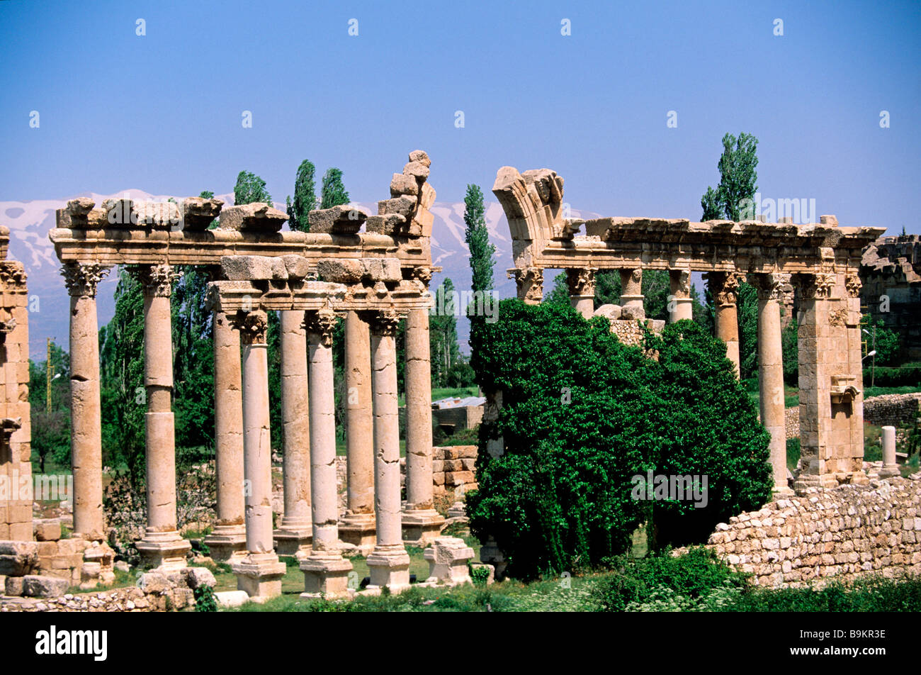 Mont liban liban Banque de photographies et d’images à haute résolution ...