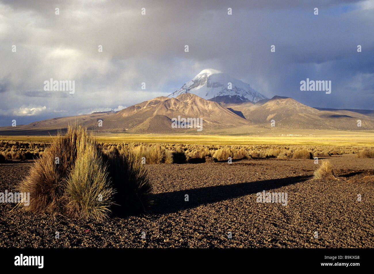 Volcan nevado sajama Banque de photographies et d’images à haute ...