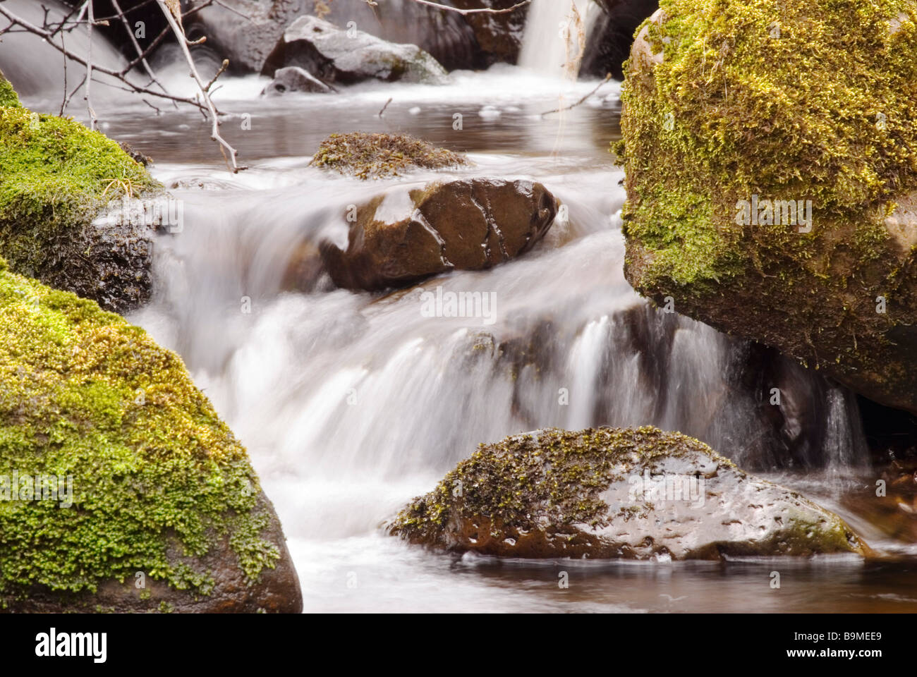 Mousse et rochers Banque de photographies et d’images à haute ...
