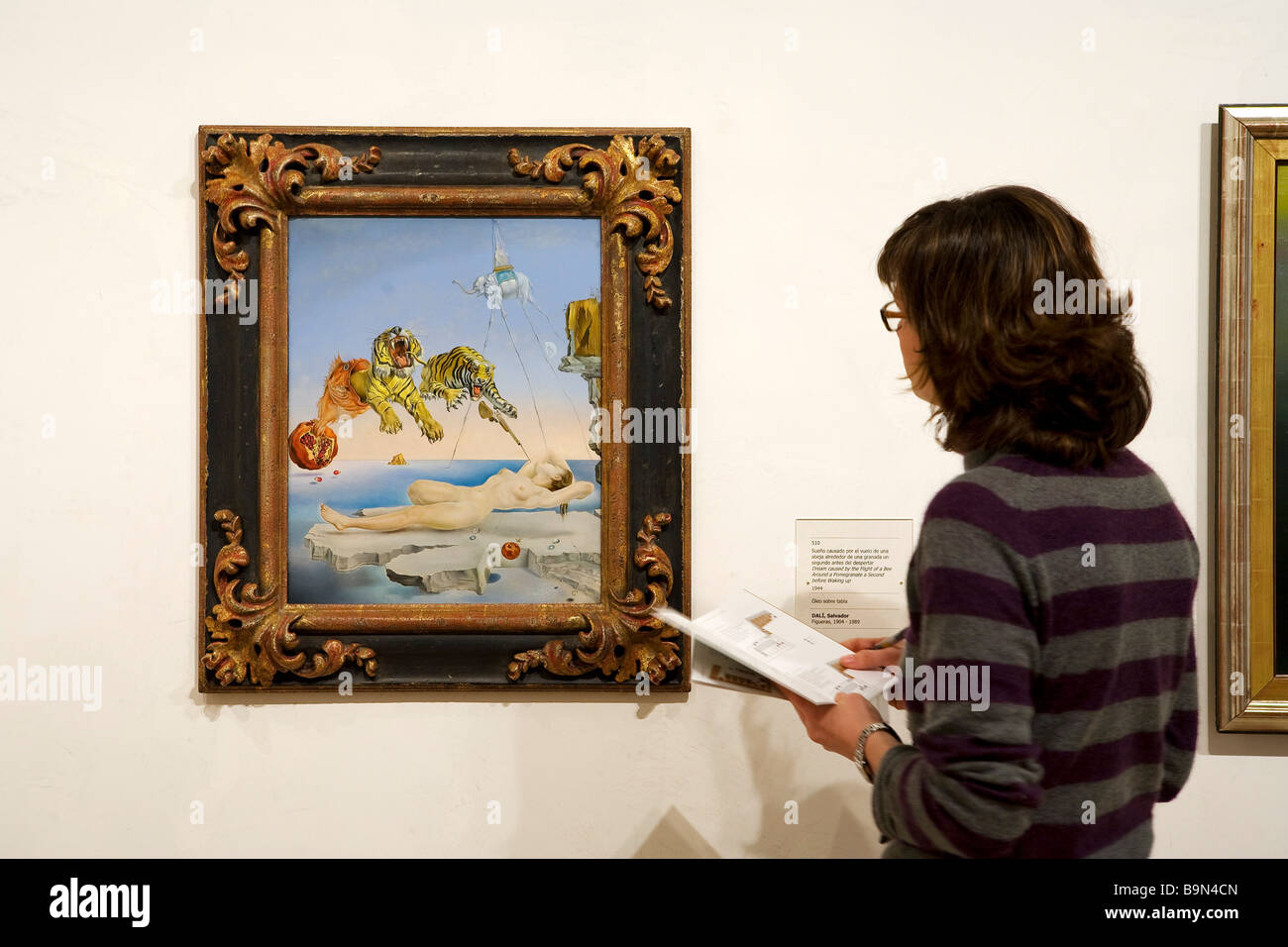 Grenade salvador dali Banque de photographies et d’images à haute ...