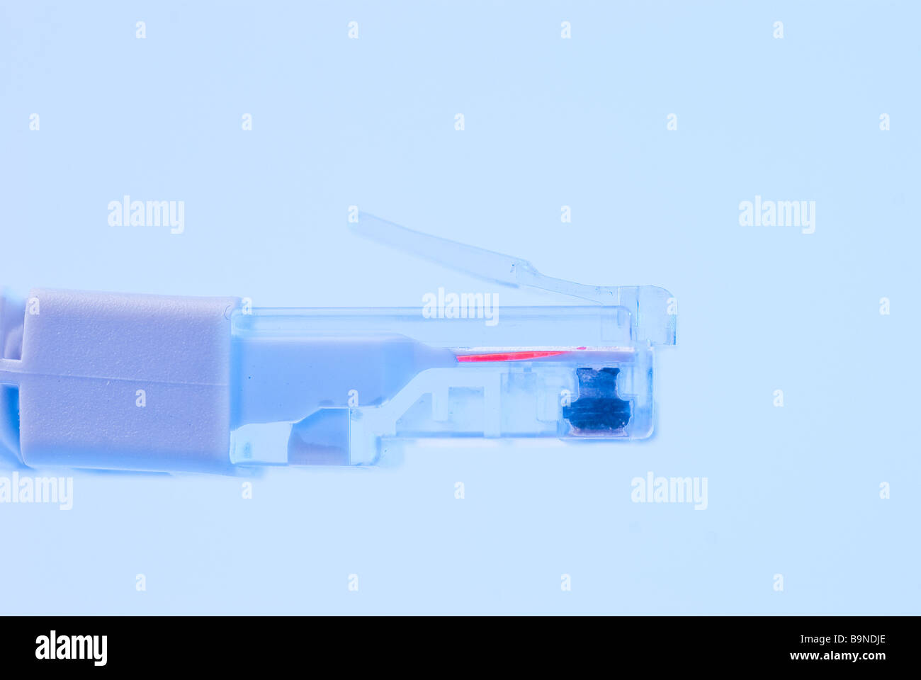 Photo d'un câble réseau, prêt à brancher Photo Stock - Alamy