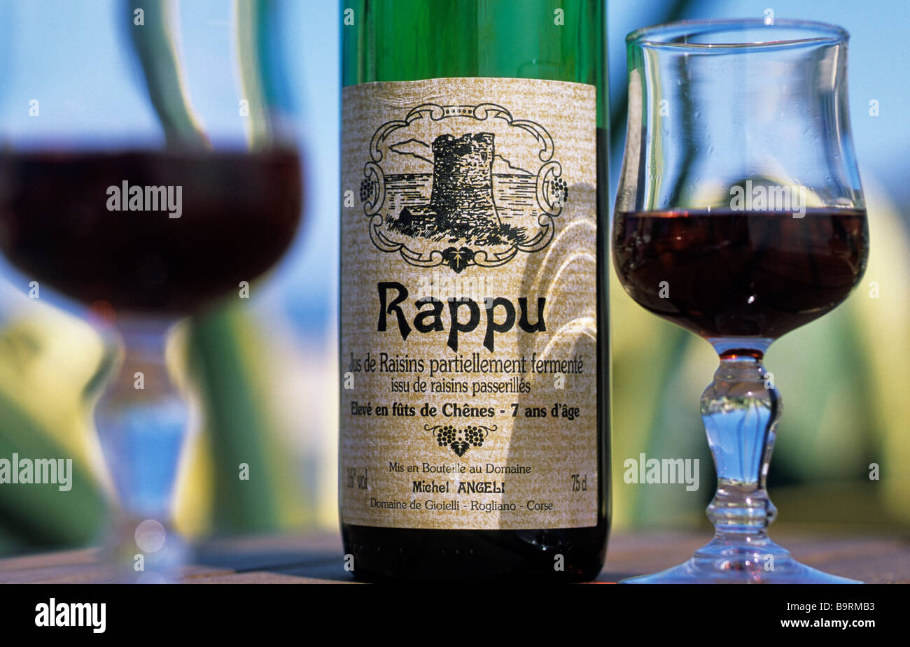 France, Haute Corse, Cap Corse, Centuri, Rappu, un apéritif du Cap ...