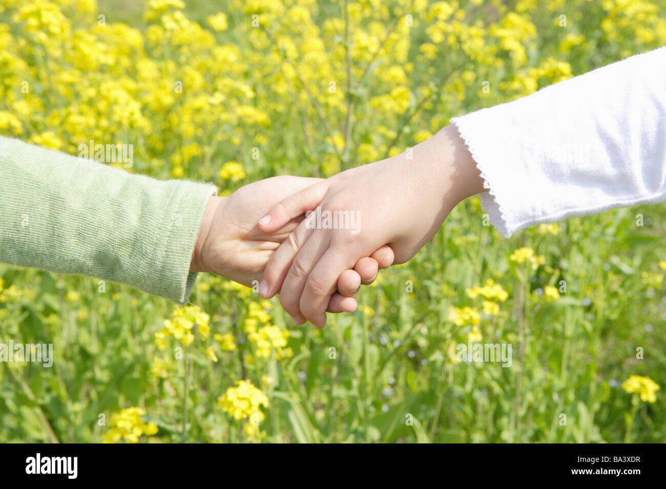 Enfant inconnu tenant Banque de photographies et d’images à haute ...