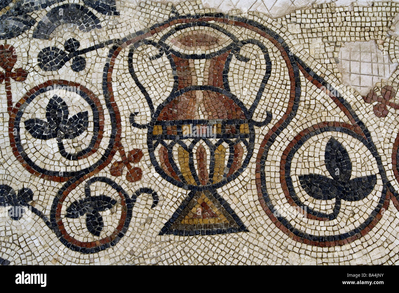 Musée archéologique de Madaba Jordanie Proche-Orient Détail mosaïque ...