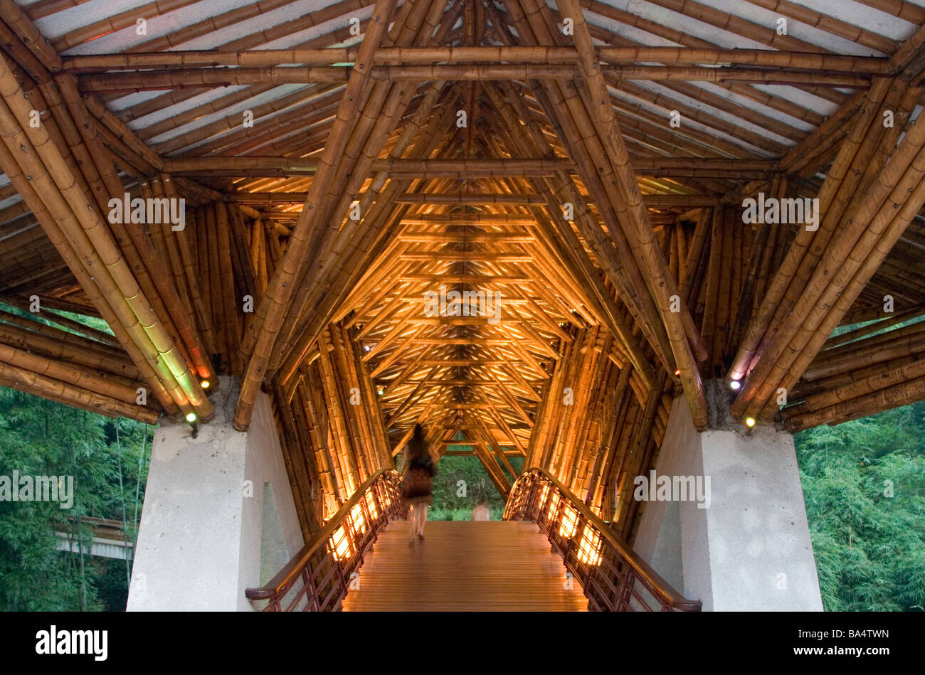 Pont de bambou de Crosswaters Ecolodge dans le Guangdong en Chine, c ...