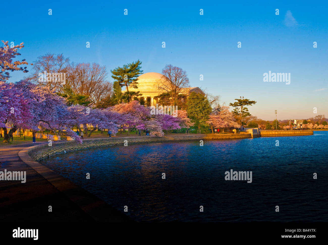 Fleurs de cerisier de washington Banque de photographies et d’images à ...