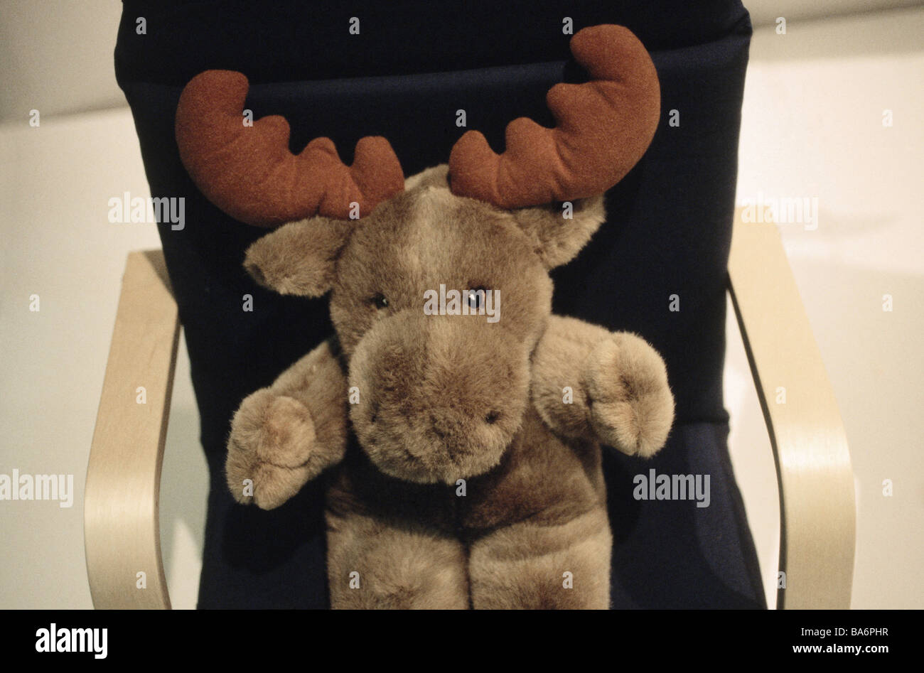 Matériel animal Banque de photographies et d’images à haute résolution ...