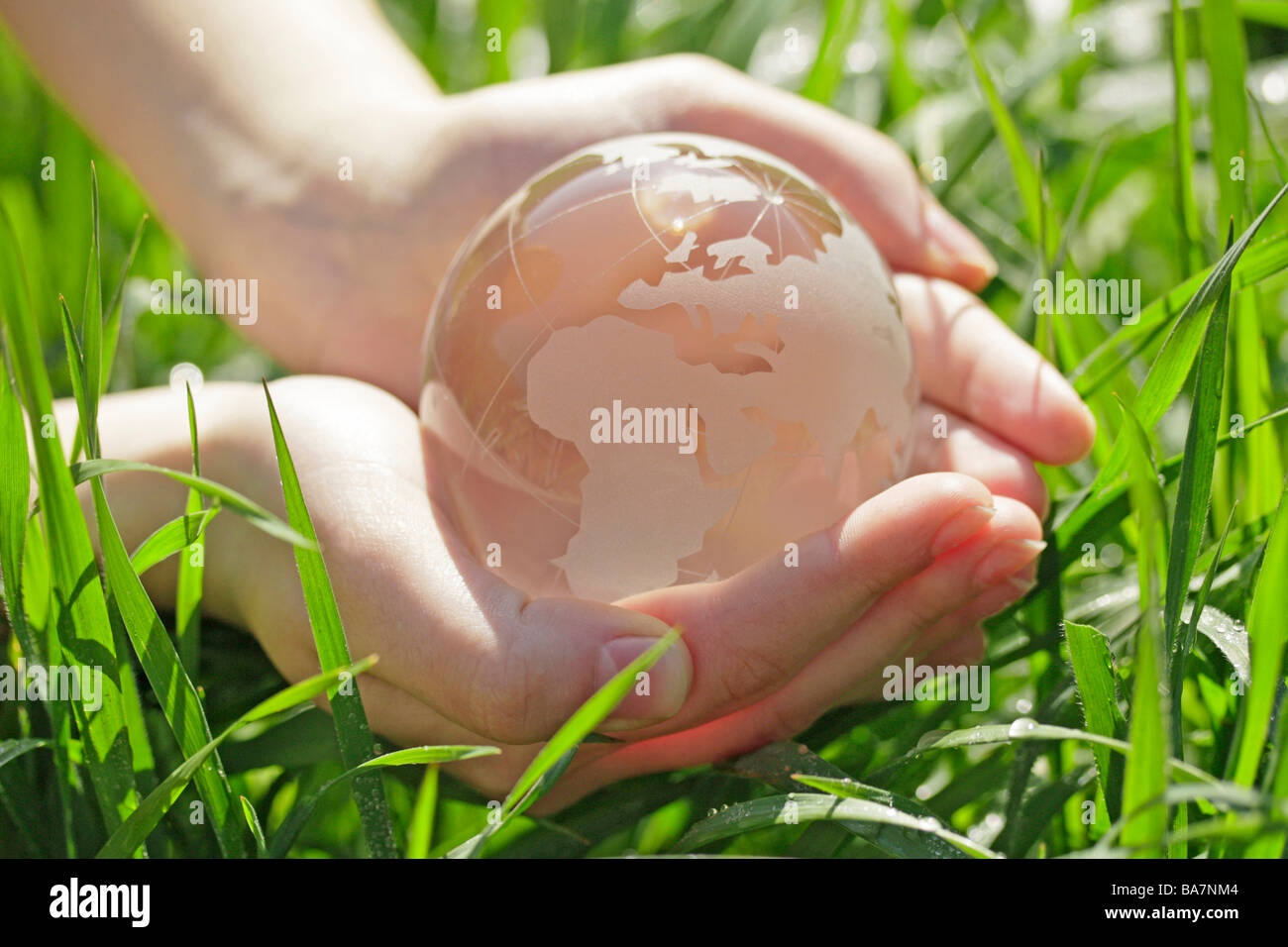 Globe terrestre sur la paume de la main Banque de photographies et d ...