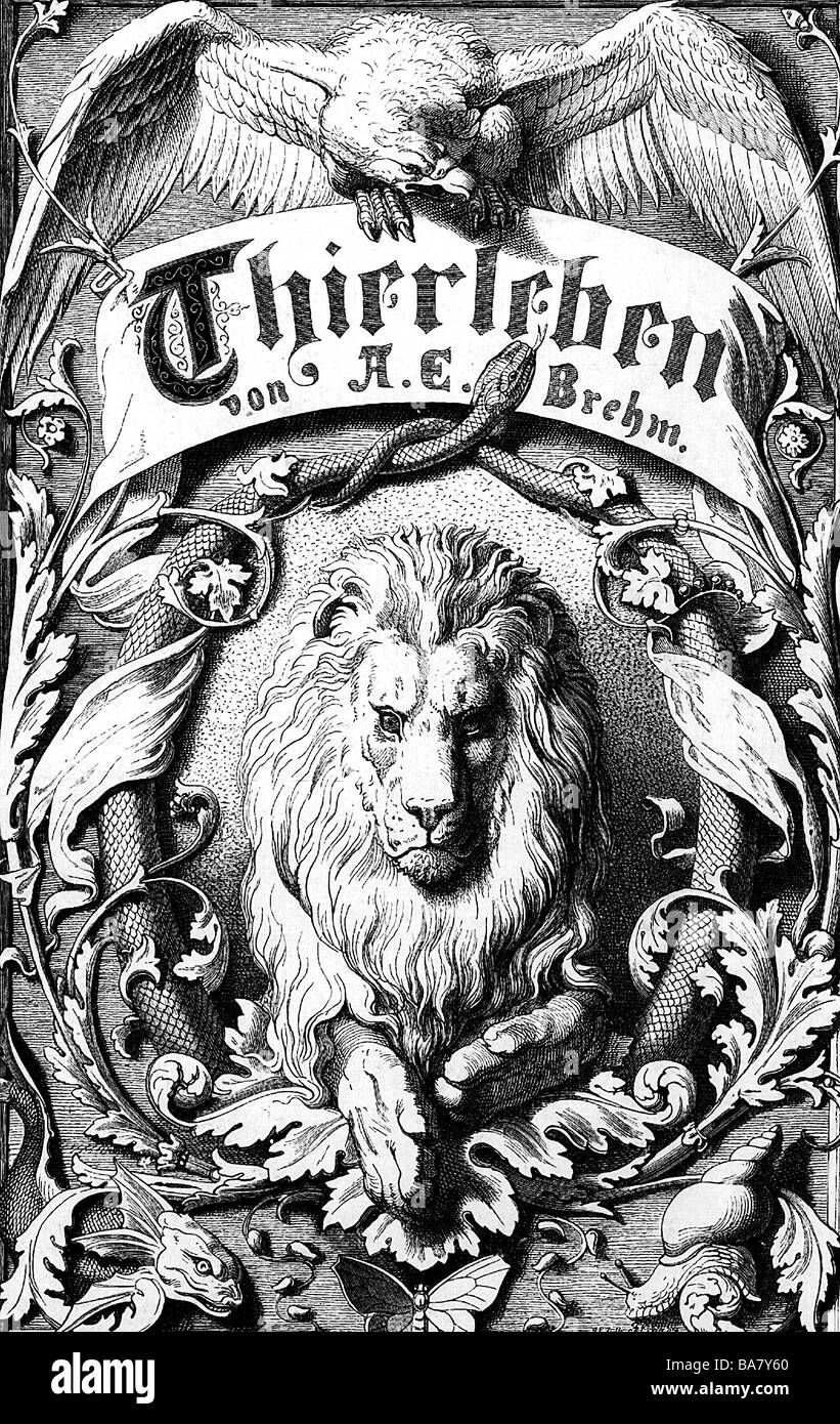 By alfred brehm Banque de photographies et d’images à haute résolution ...