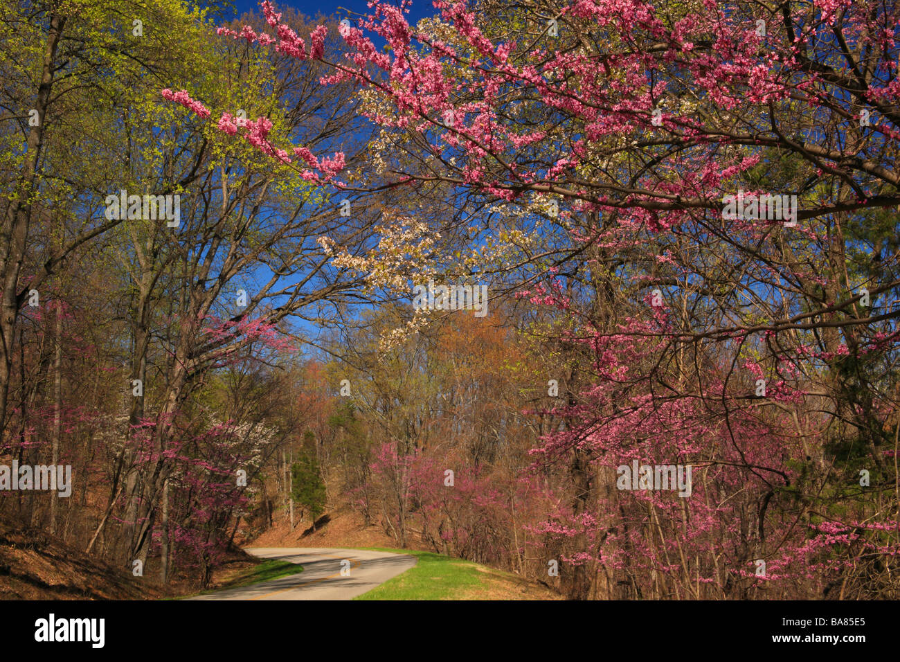 Blue ridge parkway motorcycle Banque de photographies et d’images à ...