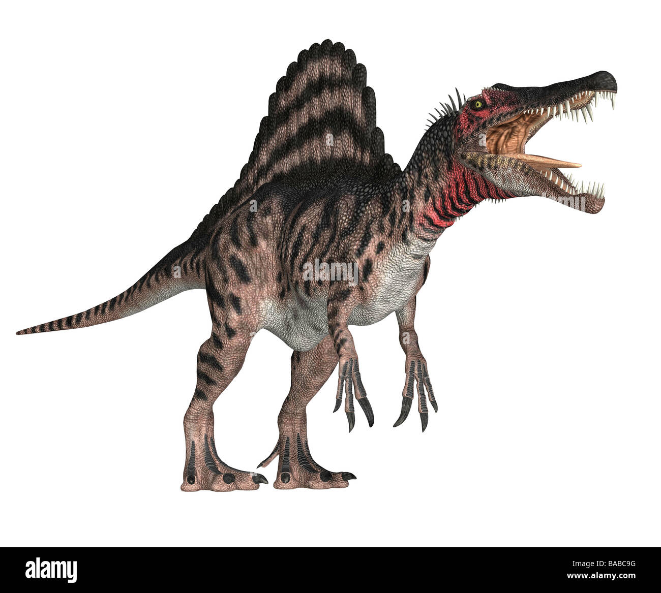 Spinosaurus dinosaur Banque d'images détourées - Alamy
