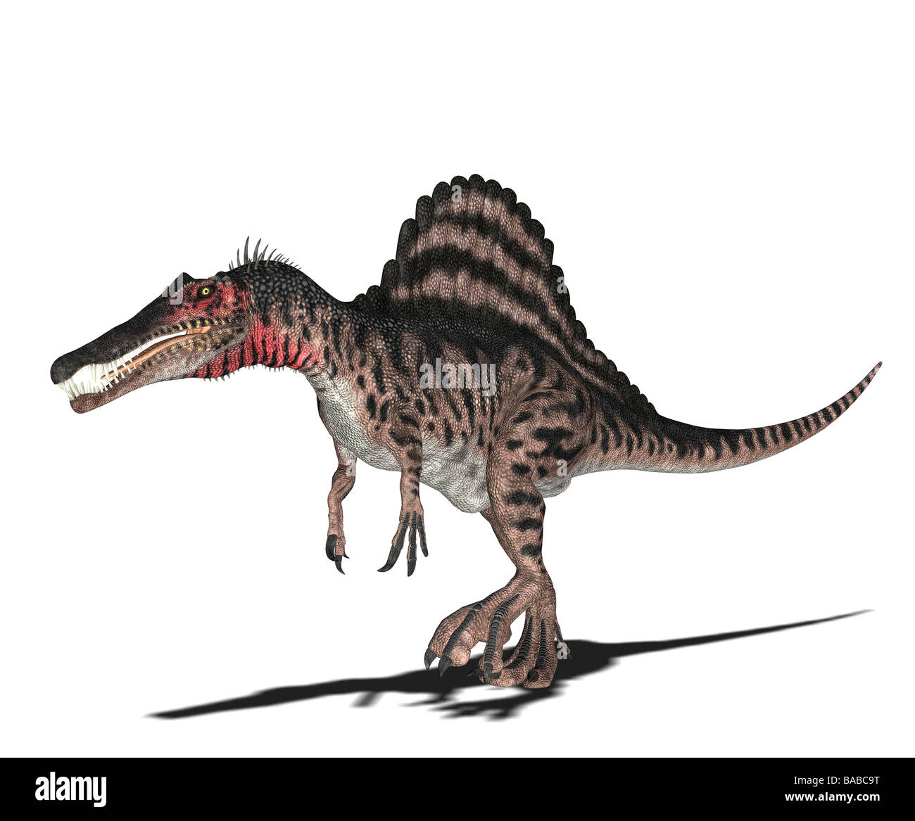 Dinosaur dinosaurs dino spinosaurus Banque d'images détourées - Alamy