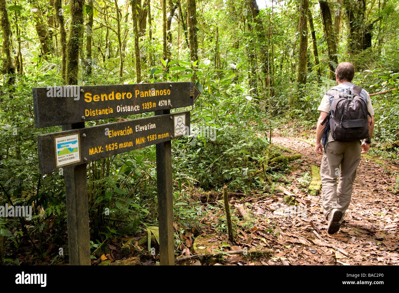 Costa Rica, province de Puntarenas, Monteverde, Reserva Biologica del ...